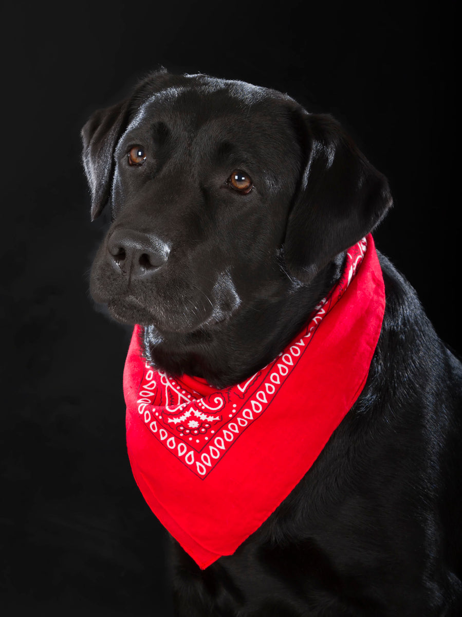 The History of the Bandana | Balance Headwear